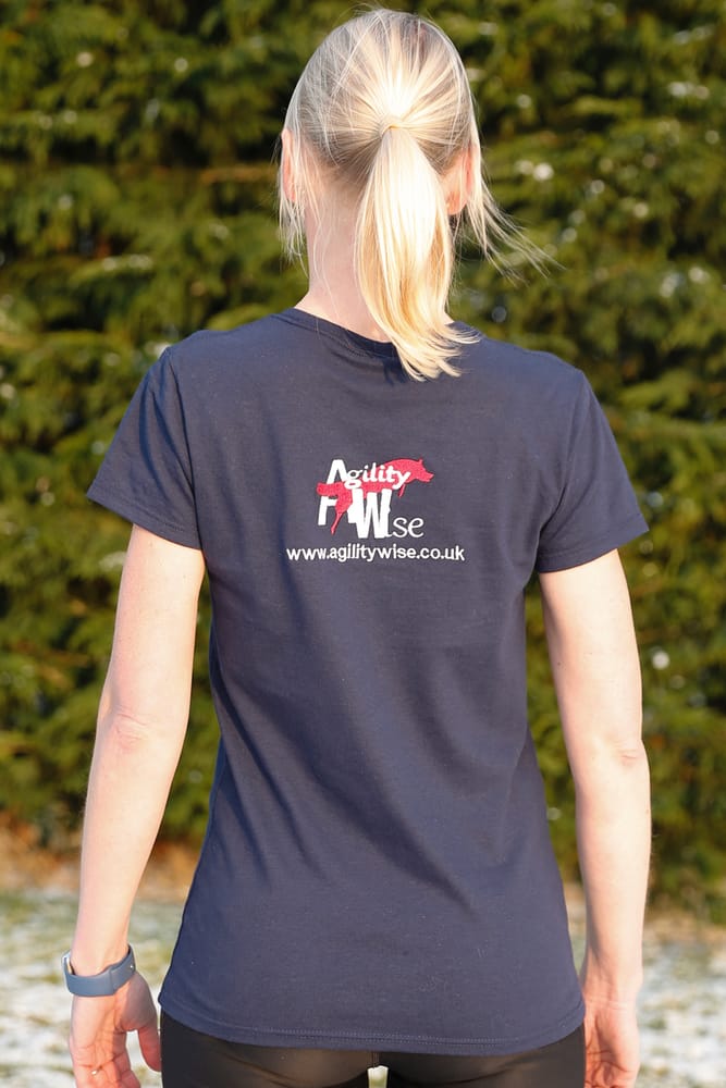 Merchandise - Agility Wise